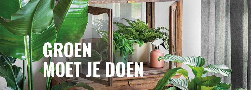 Groenspecialist - GroenRijk Geldrop