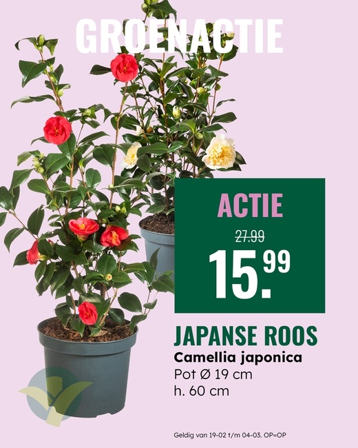 Groenspecialist - GroenRijk Geldrop