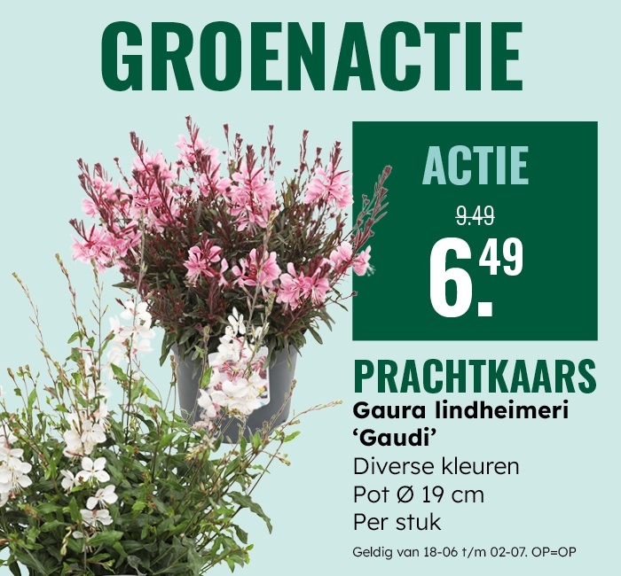 Groenspecialist - GroenRijk Geldrop
